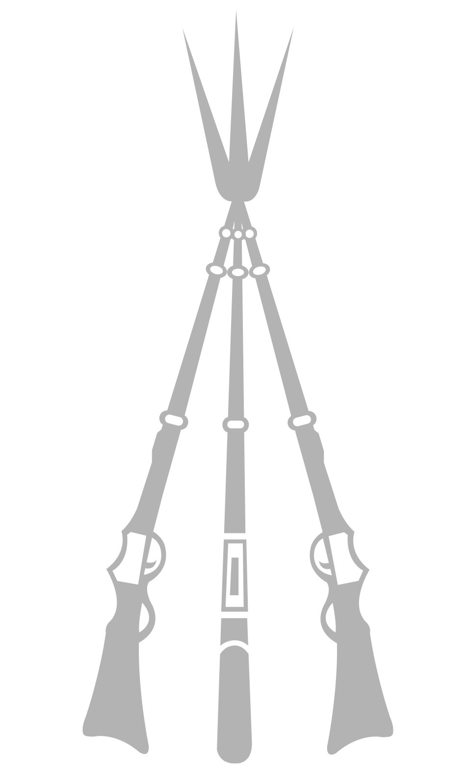Iconic Brands - BSA Guns USA